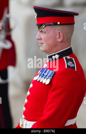 grenadier guards sergeant Stock Photo - Alamy