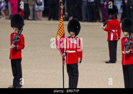 Sergeant of the Grenadier Guards, "Trooping the Colour" 2010 Stock ...