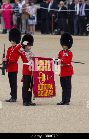 Sergeant of the Grenadier Guards, "Trooping the Colour" 2010 Stock ...