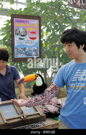 Portrait of the man with a toucan Stock Photo - Alamy
