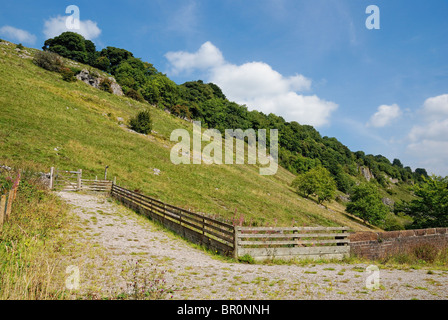 Chee dale Derbyshire england UK Stock Photo - Alamy