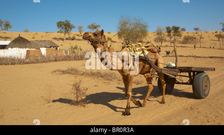 Camel cart near Manvar on the edge of the dunes Stock Photo - Alamy