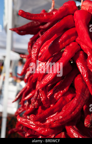 chile ristra decoration hanging dried Santa Fe, New Mexico, traditional ...