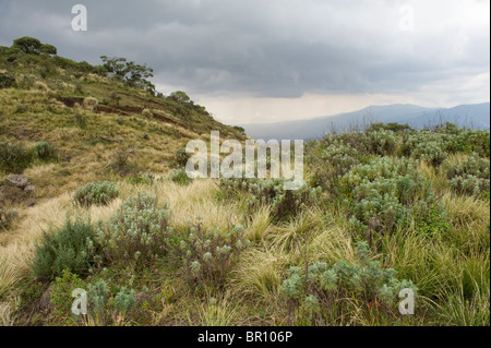 Olmoti crater, Ngorongoro Conservation Area, Tanzania Stock Photo - Alamy