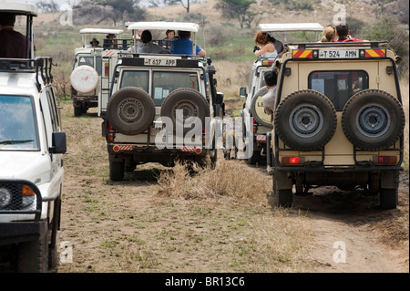 Safari car vehicle and Leopard (Panthera pardus) in Mala Mala Game ...
