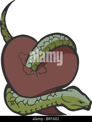 Heart around the snake Stock Photo - Alamy