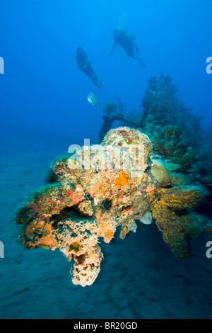 divers, Wreck of the RMS Rhone, iron-hulled steam sailing vessel Stock ...