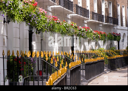 Cartwright Gardens, London, England, UK Stock Photo - Alamy