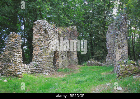 The ruined Church of Saint Mary at Saxlingham Thorpe, Norfolk, England ...