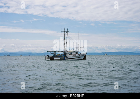 Commercial Salmon Fishing Boat Trolling Cross Sound SE Alaska Rainbow ...