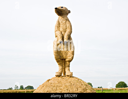 Statue of a Meerkat Sculpture at Snugburys Ice Cream Parlour near ...