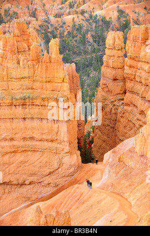 Visitors on Rim Trail Bryce Canyon National Park Utah Stock Photo - Alamy