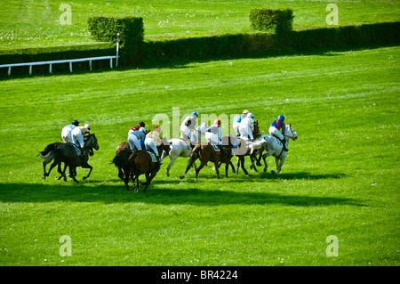 final sprint during a horse race Stock Photo - Alamy