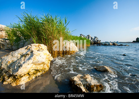 Seascape with boulders an reed on the shore line Stock Photo - Alamy