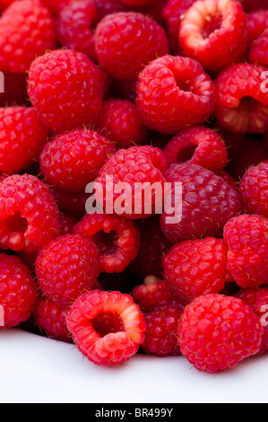 Garden, raspberry, Rubus idaeus, plate, berries, botany, plant, garden ...