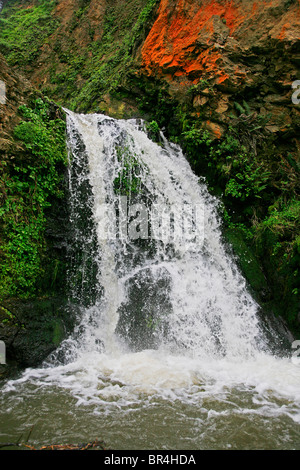 Alamere falls waterfall trail at Point Reyes National Seashore in Marin ...