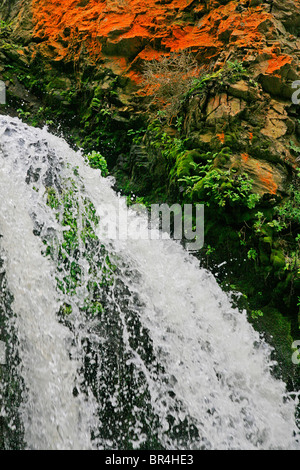Alamere falls waterfall trail at Point Reyes National Seashore in Marin ...