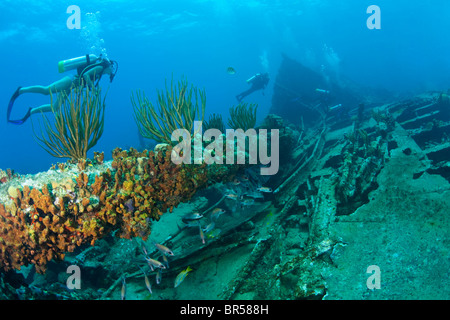 Rhone wreck Tortola British Virgin Islands BVI, underwater, scuba ...