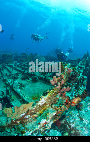 divers, Wreck of the RMS Rhone, iron-hulled steam sailing vessel Stock ...