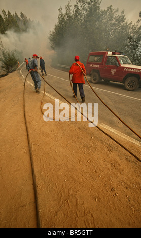Forest firefighters try to extinguish the fire, on August 19, 2025, in ...