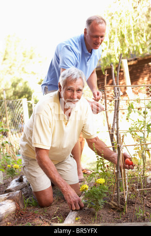 Senior Man Digging Vegetable Patch On Allotment Stock Photo - Alamy