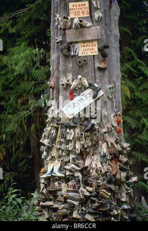 Discarded Shoes nailed to Shoe Tree after hiking in Cape Scott ...