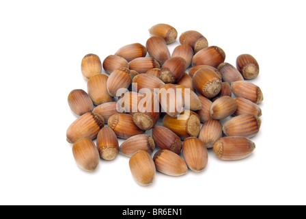Cob, Hazel, nut, fruit, hazelnut, harvest, Hasel, Haselnuß, Haselnuss ...