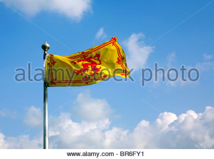 The yellow and red Scottish Lion Rampant flag flying against a blue sky ...