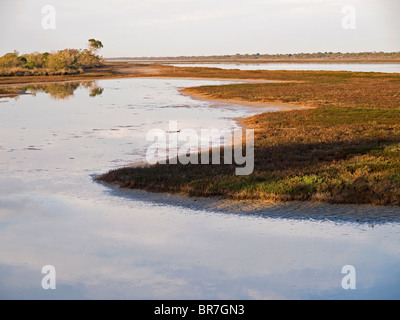 LAKE REEVE NEAR LOCH SPORT EAST GIPPSLAND VICTORIA AUSTRALIA Stock ...
