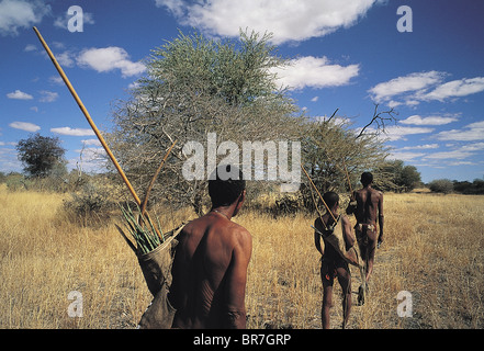 KUNG BUSHMAN hunting with bow & arrow North eastern Namibia, south ...