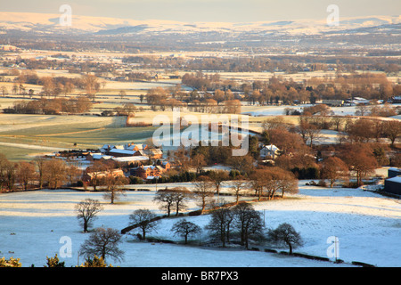 Wooded snow scene Stock Photo - Alamy