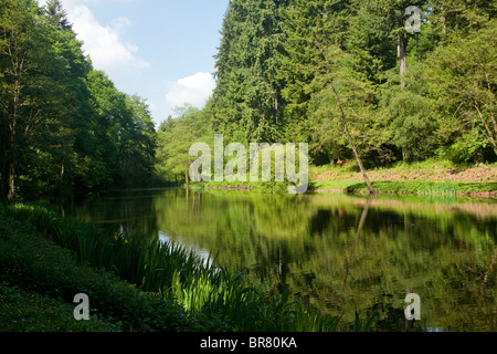 Soudley Ponds in Forest of Dean, Gloucestershire England UK. River ...