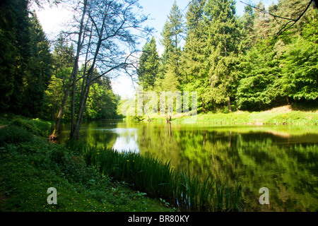 Soudley Ponds in Forest of Dean, Gloucestershire England UK. River ...