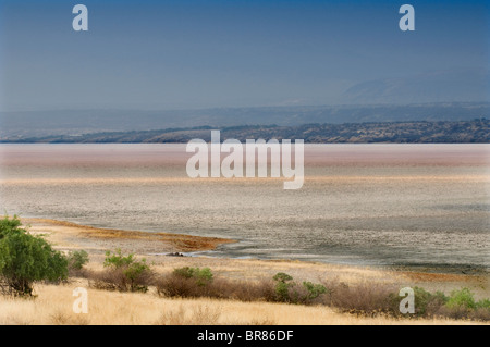 KENYA Environment Drought Stock Photo - Alamy