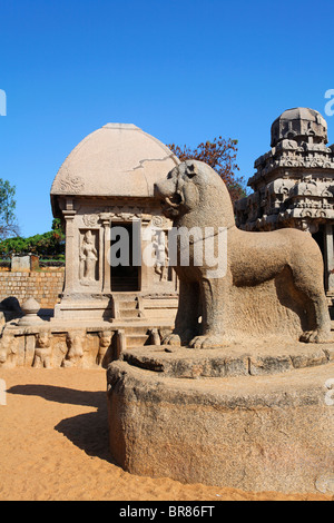 Mahabalipuram India Pancha Pandava Rathas Statue Of Lion Stock Photo ...
