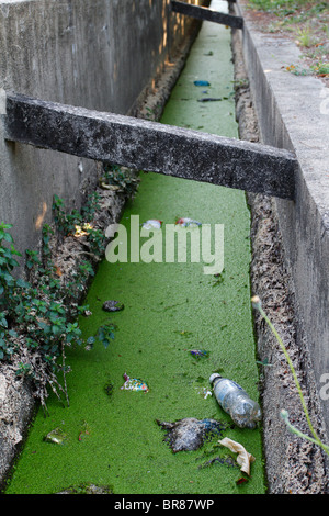 Algae clogging a drain Stock Photo - Alamy