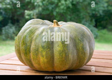 Squash or pumpkin, Muscade de Provence, Muscat de Provence pumpkin, cut ...