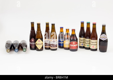 Belgian beer - Belgian trappist monk beers on a shelf in a shop, Bruges ...