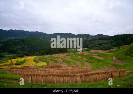 Oyama-Senmaida Terraced Rice Field Kamogawa city Chiba Japan Stock ...