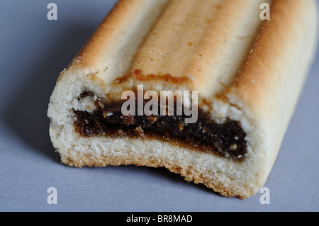 Fig roll biscuit Stock Photo - Alamy