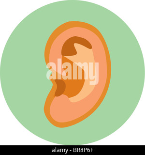 Cartoon Illustration of Human Ear Clip Art Stock Photo - Alamy