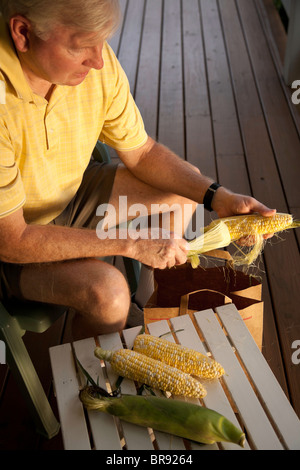 Fresh cob of ripe corn in the green field Stock Photo - Alamy