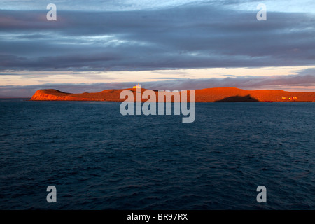 Magdalena Island, Chile Stock Photo - Alamy