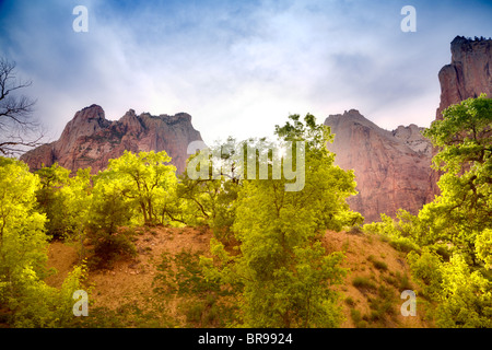 beautiful Zion national park at sunset,utah,usa Stock Photo - Alamy