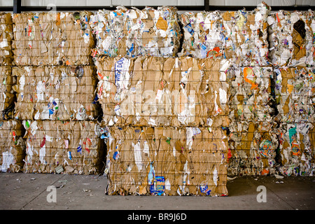 Bales of cardboard ready for recycling in the uk Stock Photo - Alamy