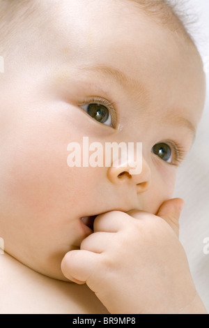 Newborn baby boy studio photoshoot Stock Photo - Alamy