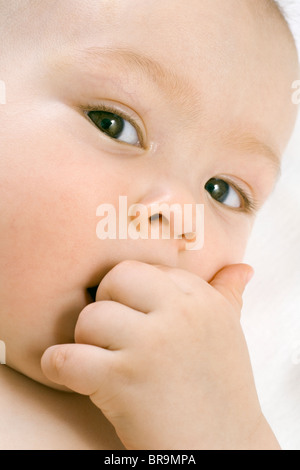 Newborn baby boy studio photoshoot Stock Photo - Alamy