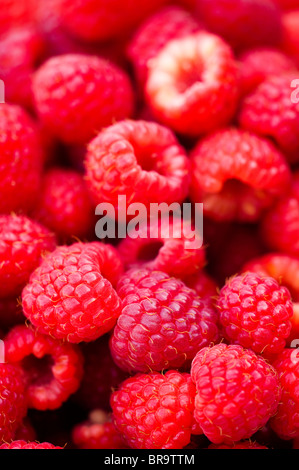 Raspberry - Rubus idaeus Framboise Stock Photo - Alamy