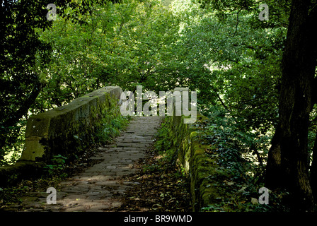 Dob Park Bridge a magnificent packhorse bridge is on an unsurfaced lane ...