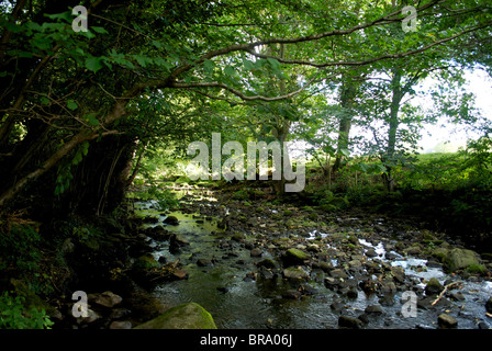 Dob Park Bridge a magnificent packhorse bridge is on an unsurfaced lane ...